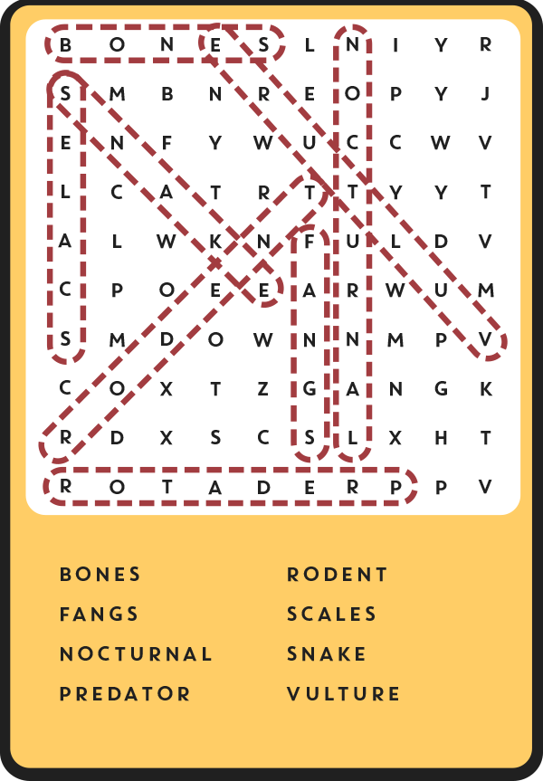 Halloween Activity Guide Word Search Mobile Elmwood Park Zoo Halloween Activity Guide Word Search Mobile Elmwood Park Zoo