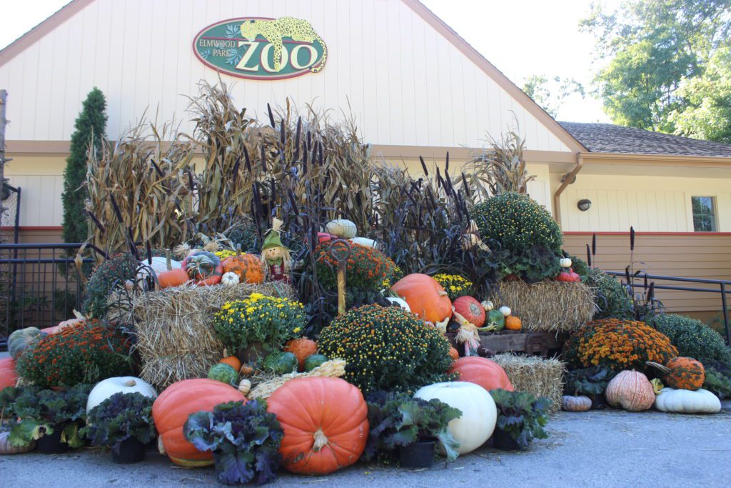 Horticulture Tips: Autumn Edition - Elmwood Park Zoo