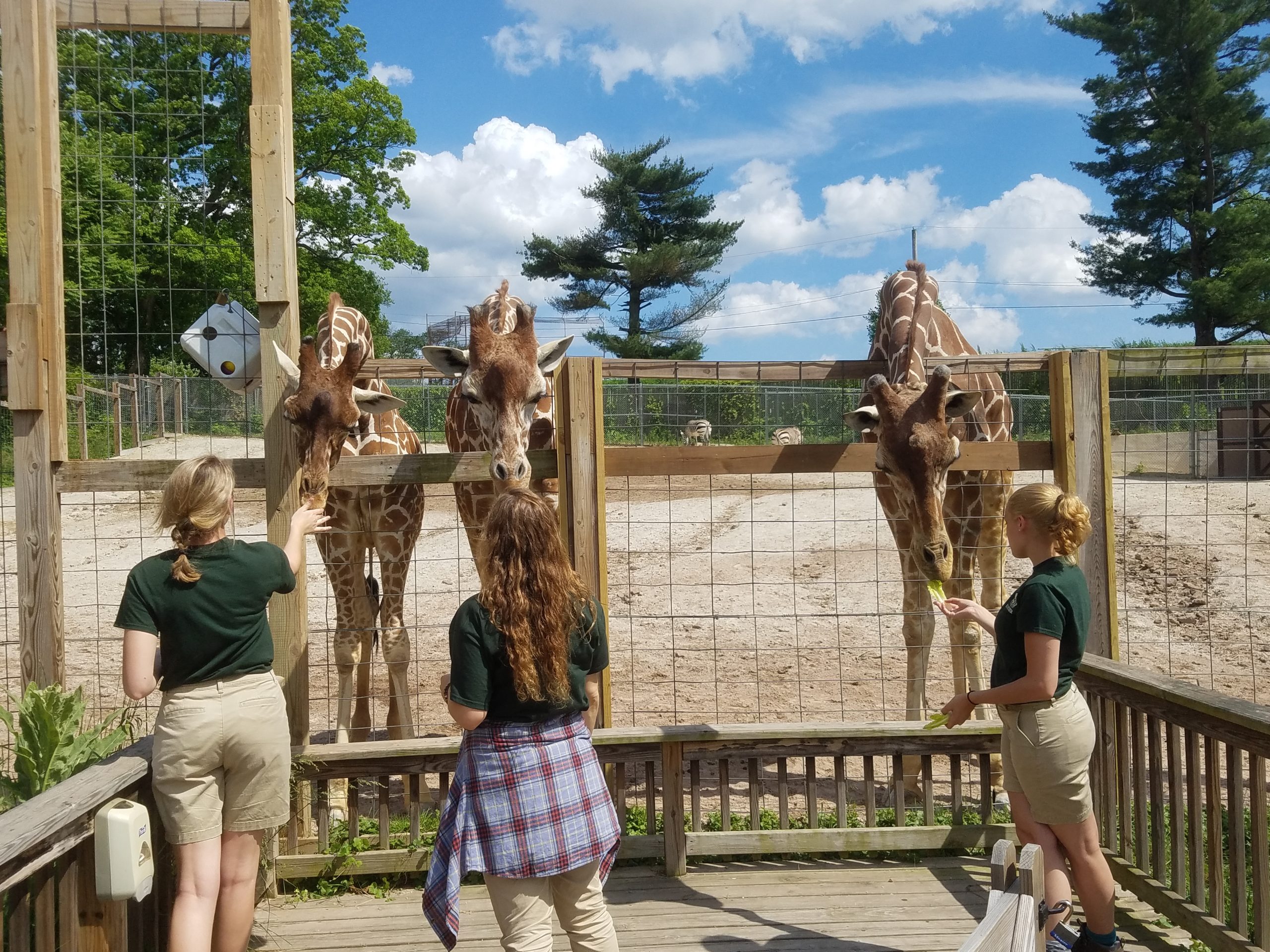 10 Questions with a Keeper - Elmwood Park Zoo