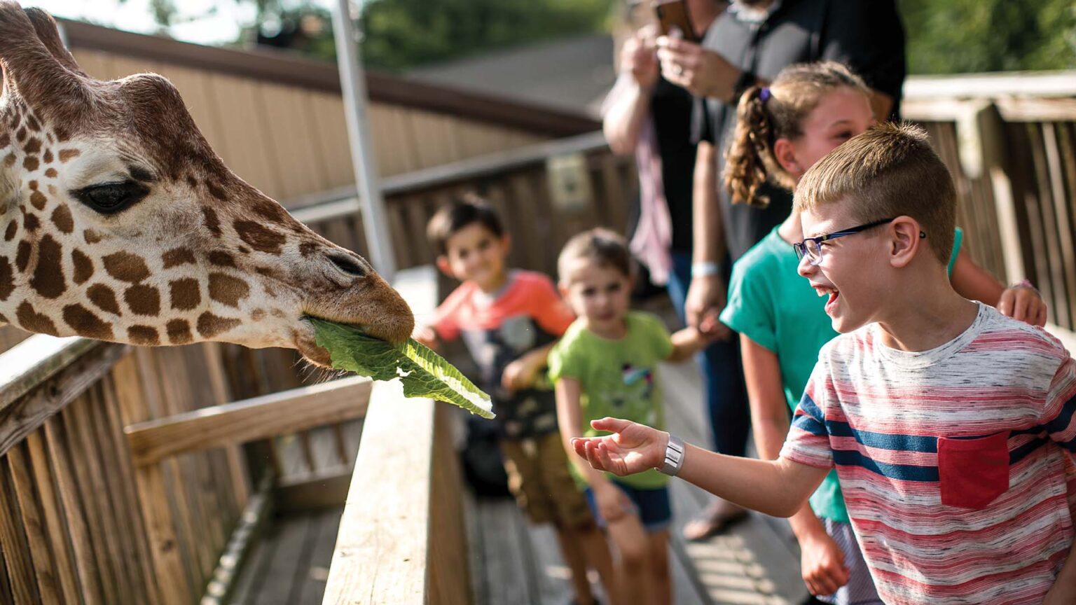 Zoo Wildlife in Norristown, PA | Elmwood Park Zoo | epzoo.org