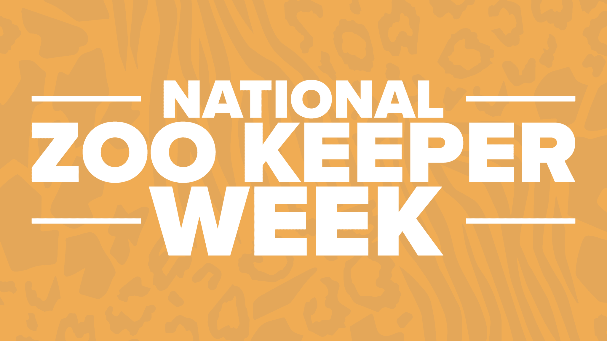 Zoo Keeper Olympics — National Zoo Keeper Week - Elmwood Park Zoo