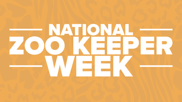 Zoo Keeper Olympics — National Zoo Keeper Week - Elmwood Park Zoo
