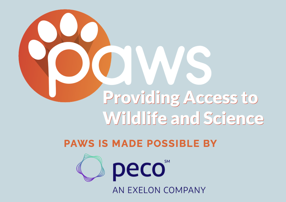 Visit - Elmwood Park Zoo