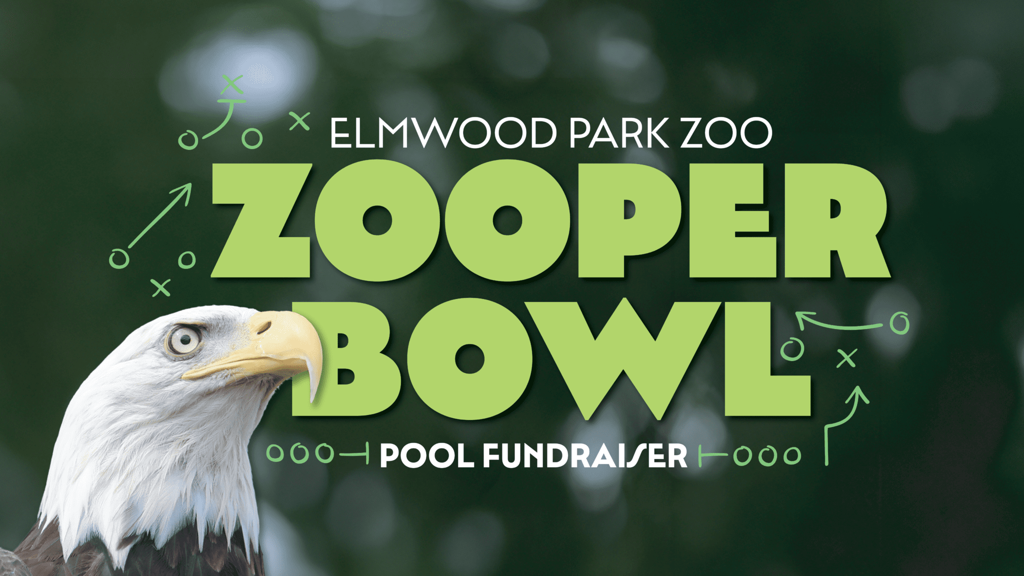 ZooPer Bowl Pool Fundraiser - Elmwood Park Zoo